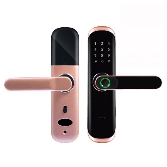 OEM Manufacturer Tuya Fingerprint Door Lock With Password -S4A Access ...