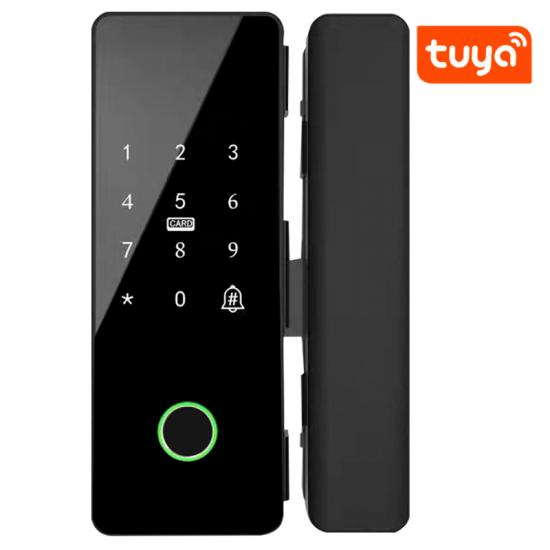 Biometric Fingerprint Access Control System Digital RFID Smart Glass ...