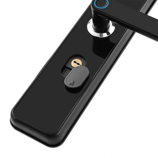 Home Security Digital Electronic Lock Tuya Ttlock Waterproof Smart Fingerprint Lock BLE WIFI ...