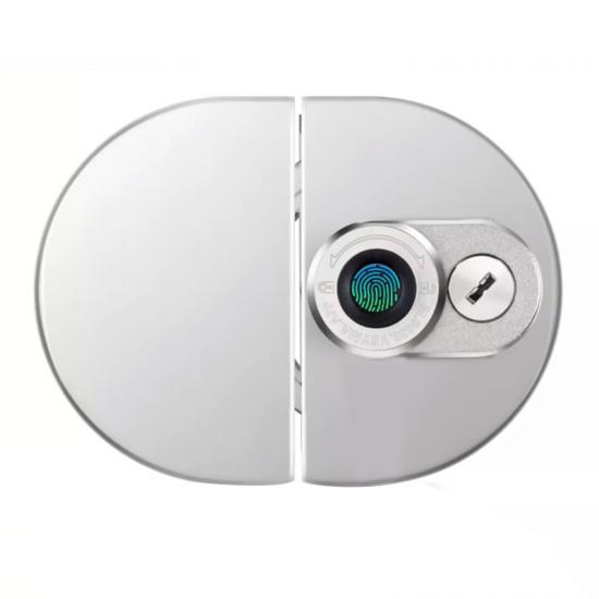 Smart Biometric Glass Door Lock For Sliding Doors,Intelligent Access ...